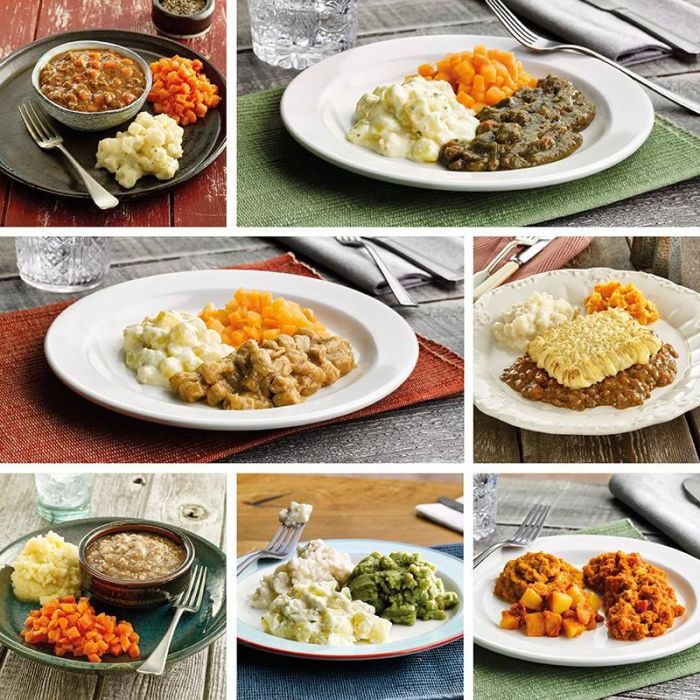 IDDSI Meals